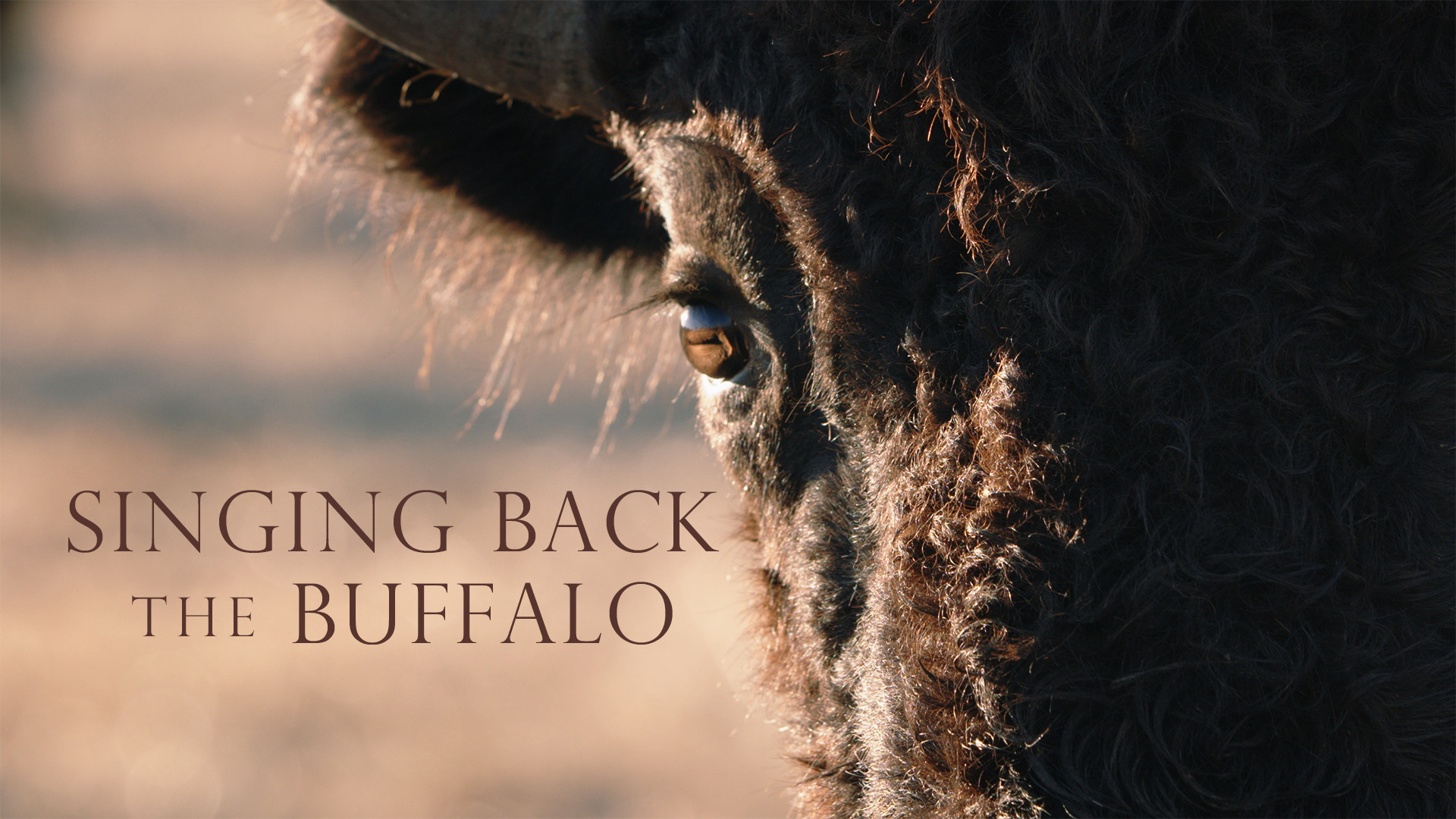 Singing Back the Buffalo